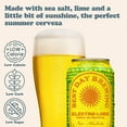 Best Day Brewing Electro-Lime 12 fl oz Can, 12ct Non-Alcoholic Beverage ...