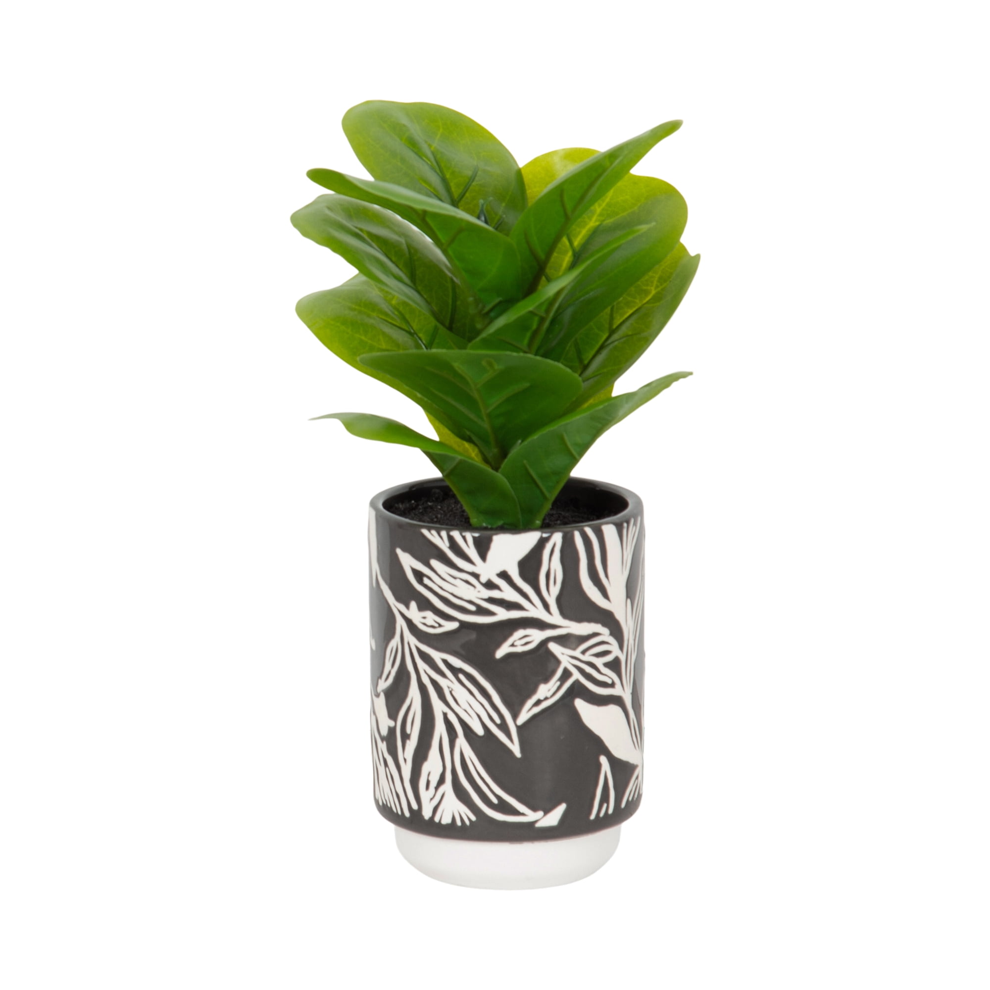Click here for Designovation 10H Artificial Fig Plant In Black An... prices