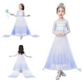 Disney's Elsa Costume Set - Dress, Wig, Crown, Wand, Gloves - Snow ...