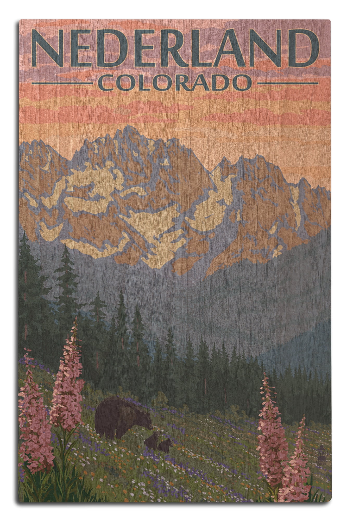 Nederland, Colorado, Bear and Spring Flowers Birch Wood Wall Sign ...