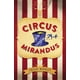 Circus Mirandus (Hardcover) - Walmart.com