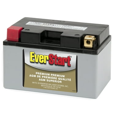 EverStart Premium AGM Power Sport Battery, Group Size TX10S 12 Volt ...