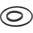 Hayward CCX1000Z5 O-Ring Replacement for Hayward Xstream Filtration ...
