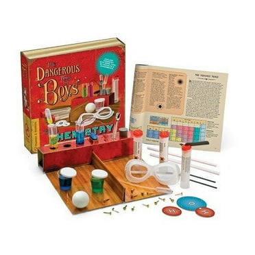 Toysmith Euler's Disk Science and Learning Kit - Walmart.com