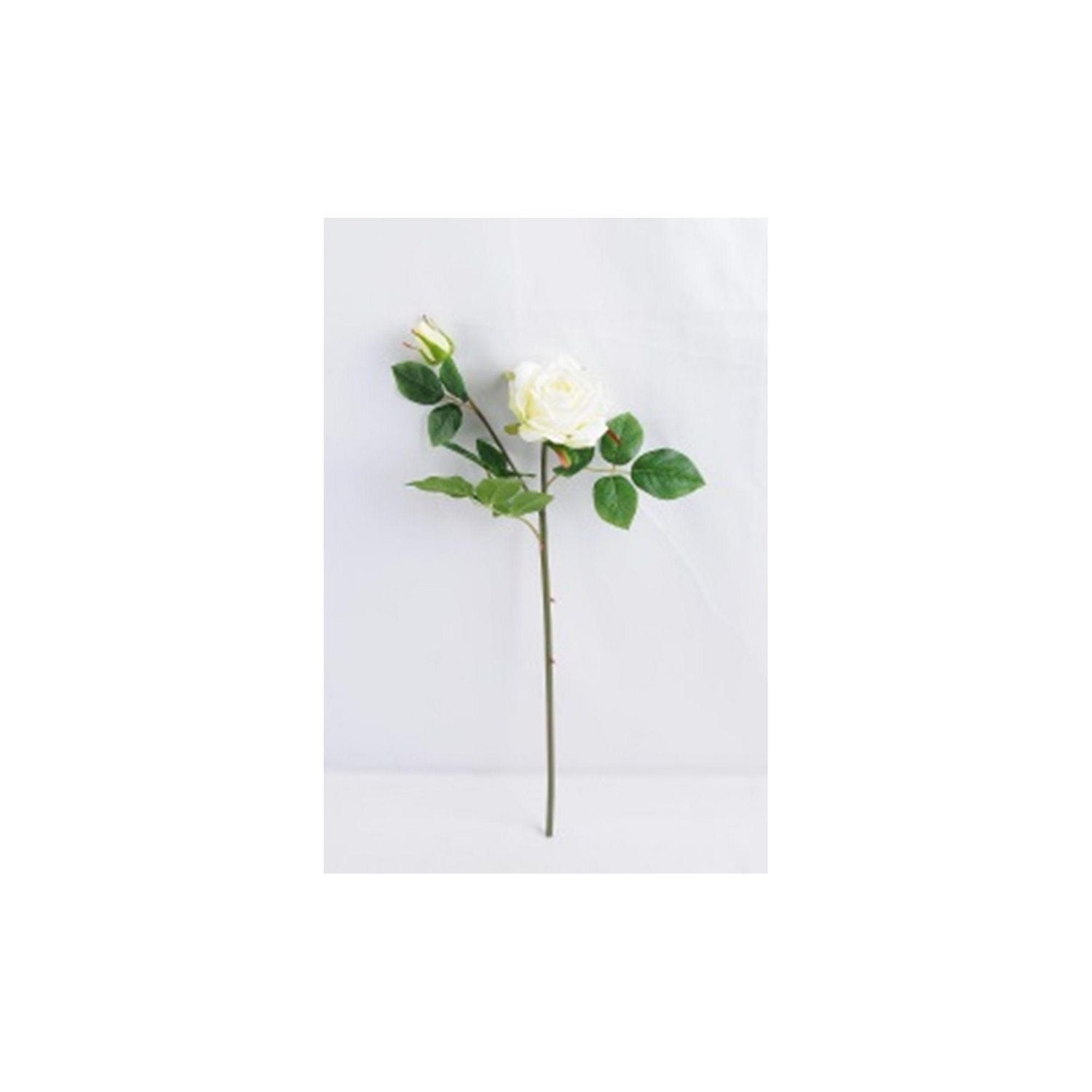 Click here for Lerman Décor Lerman Decors White Rose prices