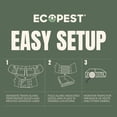Carpet Beetle Traps – 12 Pack | Sticky Indoor Glue Boards for Carpet ...