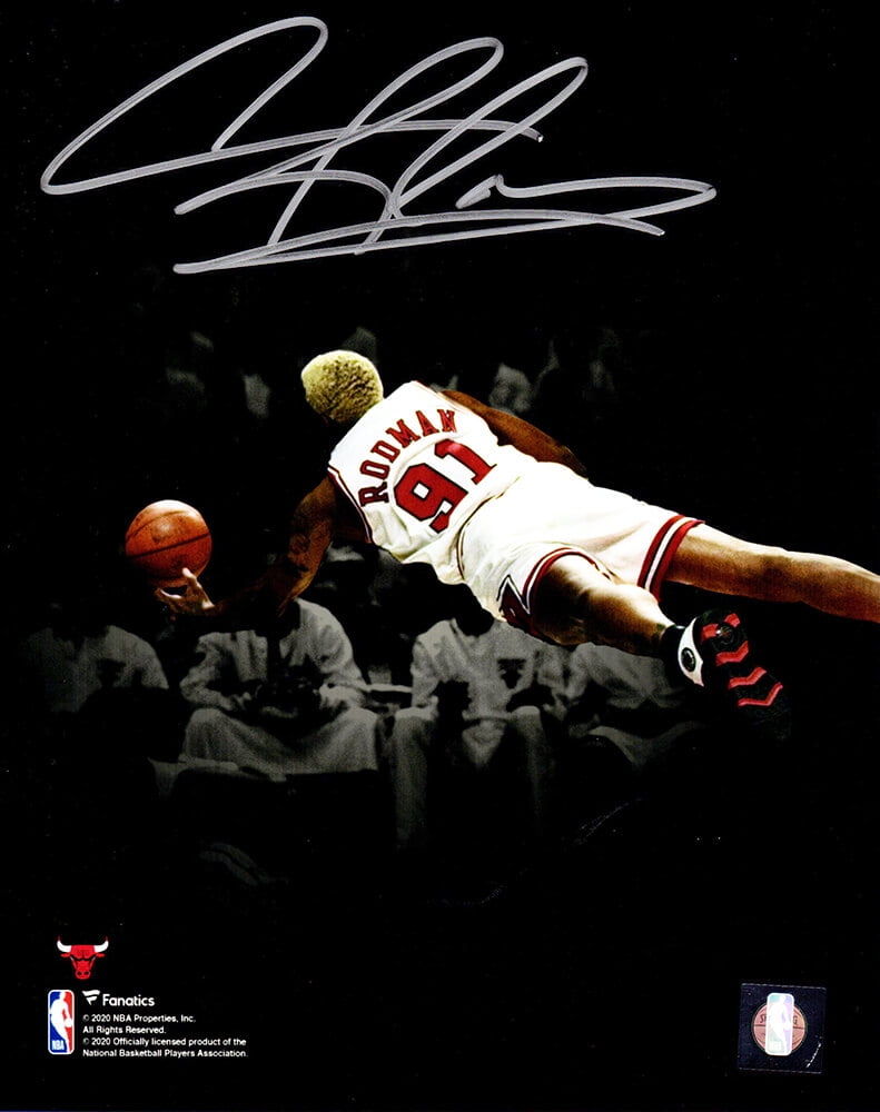 Dennis Rodman Signed Chicago Bulls Diving Spotlight 8x10 Photo ...