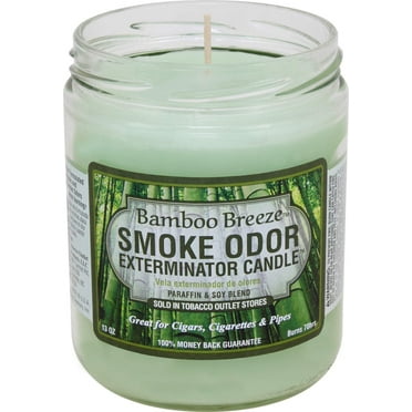 Smoke Odor Pineapple Coconut 13 oz Jar Candle Eliminates Smoke Pet ...