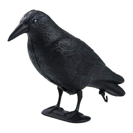 Fake Crow Decoy Lifelike Bird Deter Scarer Scarecrow Lifelike Bird Pest ...