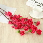 Ana Blossom