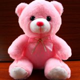 Light up Pink LED Teddy Bear Stuffed Animal Soft Plush Toy Glow in The ...