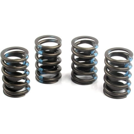 Elgin RV-9902XQ4 High Performance Valve Spring (Box of 4) | Walmart Canada