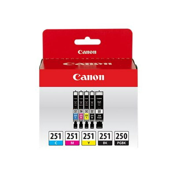 Canon PGI-250 / CLI-251 5 Color Value Pack - 5-pack - black, yellow ...