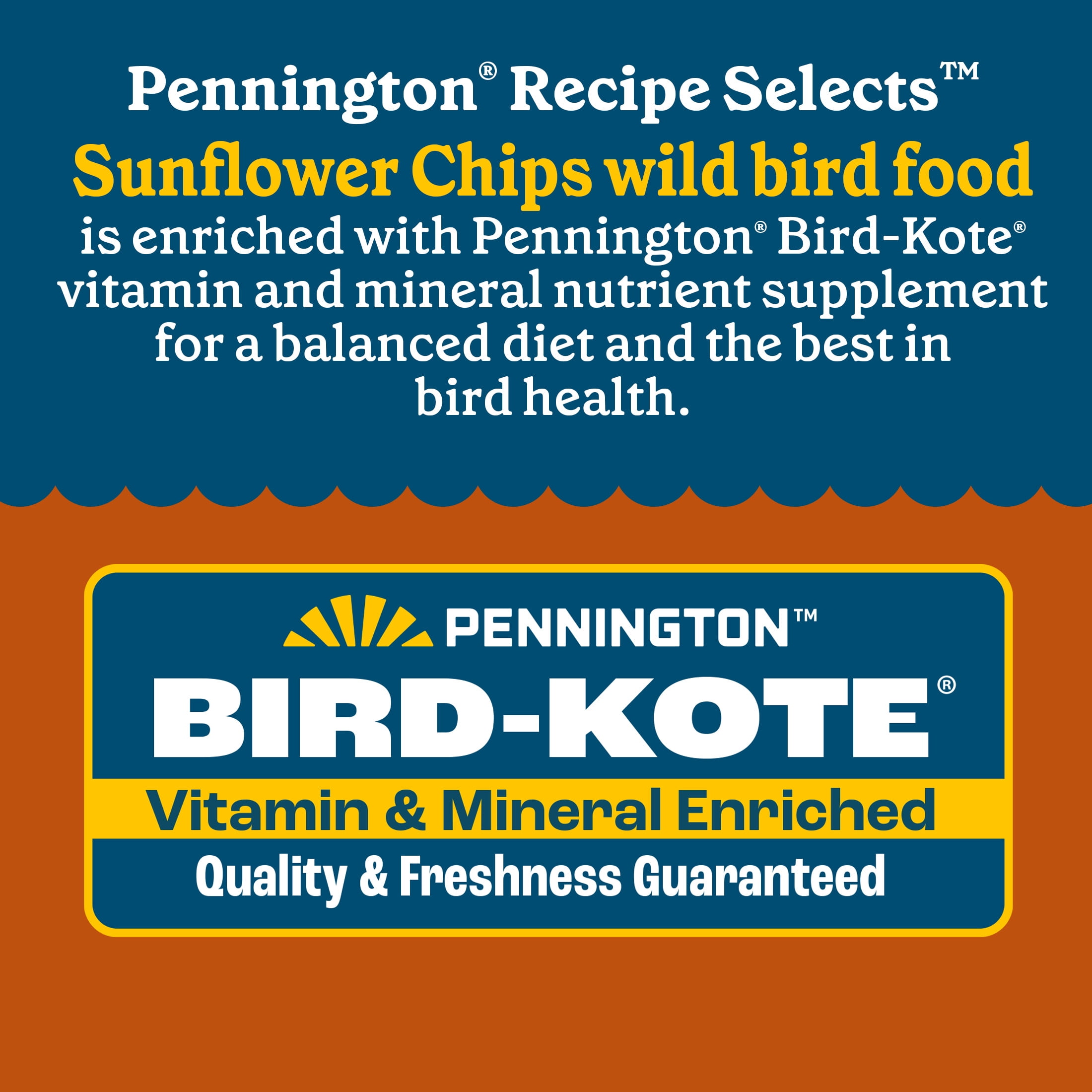 Pennington Recipe Selects Sunflower Chips, Dry Wild Nepal | Ubuy