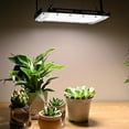 Full Spectrum Plant Light with 4/8/12H Timer, 3 Switch Modes for Indoor ...
