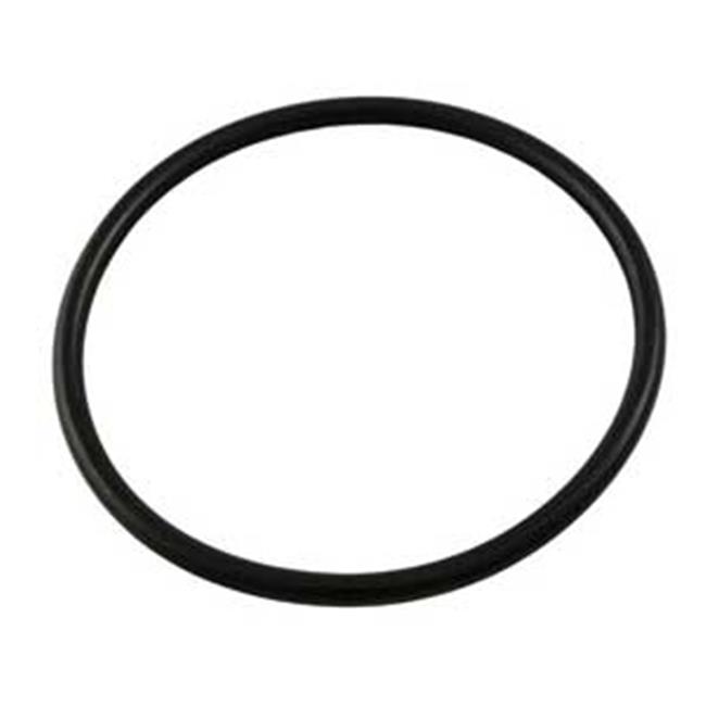 Pentair 35505-1425 Bulkhead O-Ring - Walmart.com