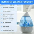 12 Pk Demineralization Humidifier Cleaner Balls, Purifies Water ...