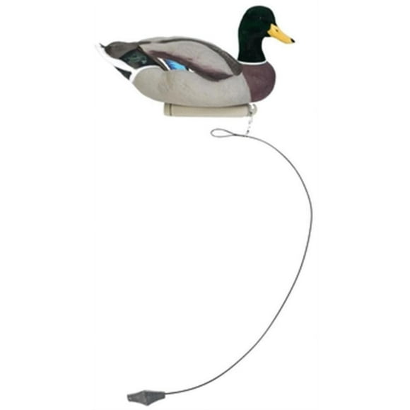 Texas Rig Decoy