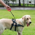 Ailezt LED Dog Leash With Waste Bag Dispenser Retractable Reflective ...