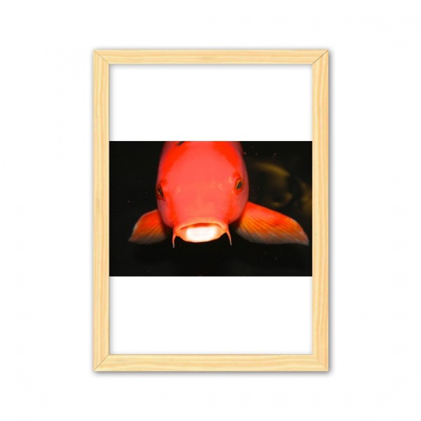 Fish Photo Frames