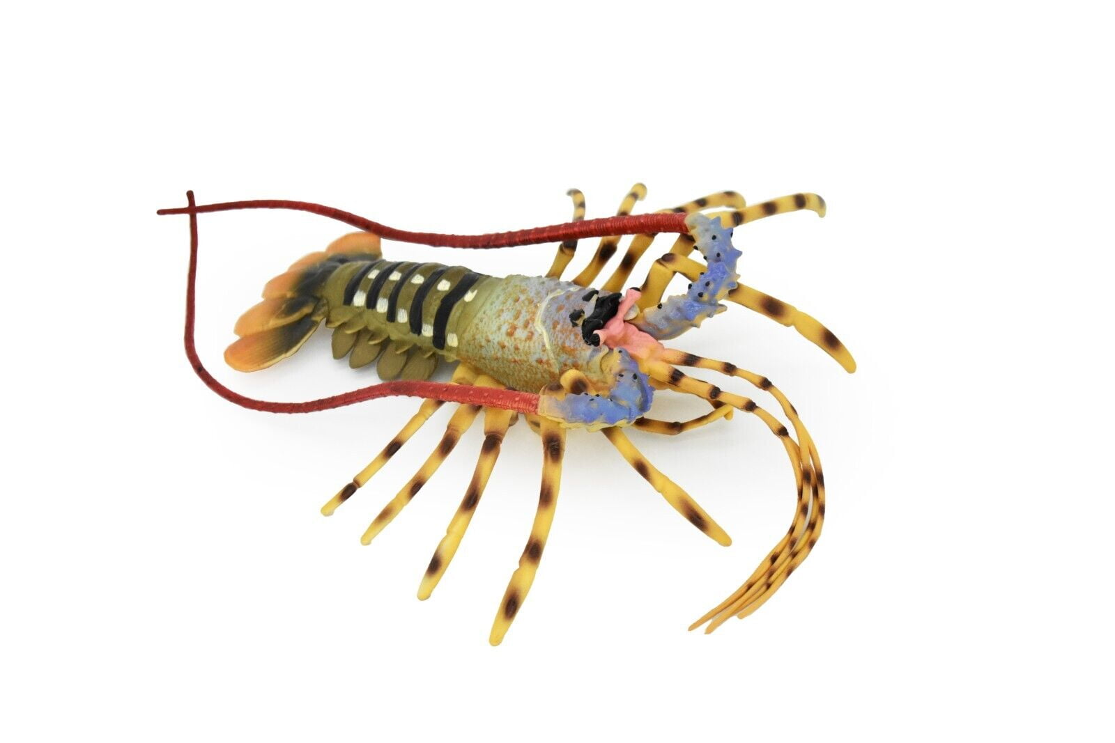 Lobster Toy, Pacific, Australian, Ocean , Beach, Museum Quality Rubber ...
