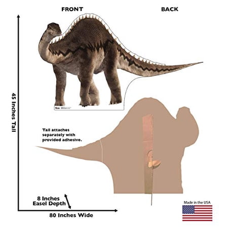 Advanced Graphics 1034 Diplodocus Cardboard Standup | Walmart Canada