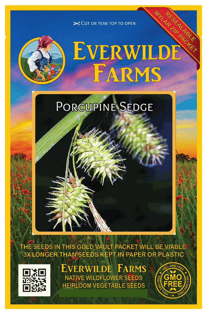 Everwilde Farms - 1000 Porcupine Sedge Native Grass Seeds - Gold Vault ...