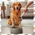 1/2 Cup Stainless Steel Dog Food Scoop, 7.8'' Long Handle Pet Food ...