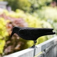 Navaris Crow Decoy - Fake Black Crow Decoy for Attracting Crows ...