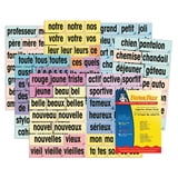 Poster Pals French Educational & Language Teaching Adjective Vocabulary ...