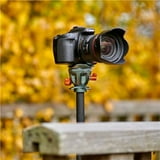 Levelling Base Screw-On Attachment for Tripods - Walmart.com