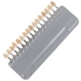 1Set Porcelain Dentist Dental Material Equipment Teeth Whiting VITA Pan ...