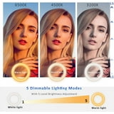 Cyezcor Video Conference Lighting Kit, Light for Monitor Clip On,for ...