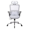 Accreate Ergonomic Mesh Office Chair, with High Back, Adjustable ...