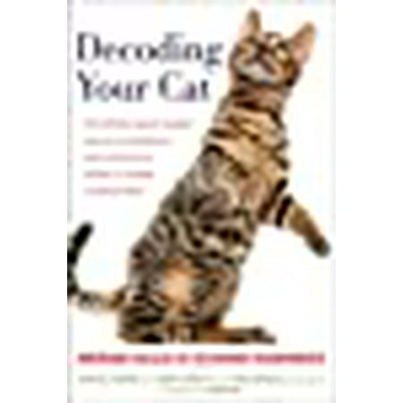Decoding Your Cat: The Ultimate Experts Explain Common Cat Behaviors ...