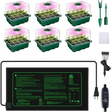 Sprout Master Mini Sprouter - Small Sprouting Tray - Grow Sprouts ...