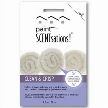 Paint Scentsations Paint Fragrance Additive, Vanilla, 1 0Z Packet ...