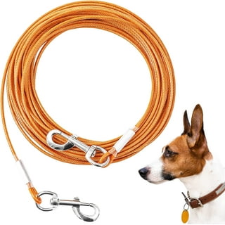 Can You Put 2 Dogs On One Zip Line Leash