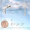ASTM F136 Threadless Push in Titanium Earrings,Hypoallergenic Flat Back ...