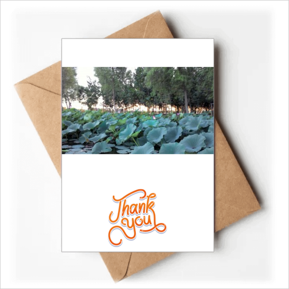 Mild Wind Art Deco Fashion Thank You Cards Envelopes Blank Note ...