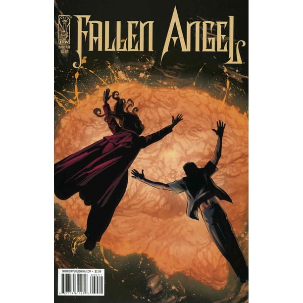 Fallen Angel (IDW) #30 VF ; IDW Comic Book - Walmart.com