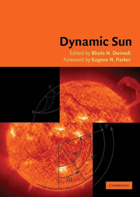 Dynamic Sun (Hardcover) - Walmart.com