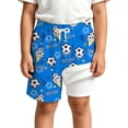 shoper Boys Swim Trunks with Compression Liner, Toddler Swimsuit Kids ...