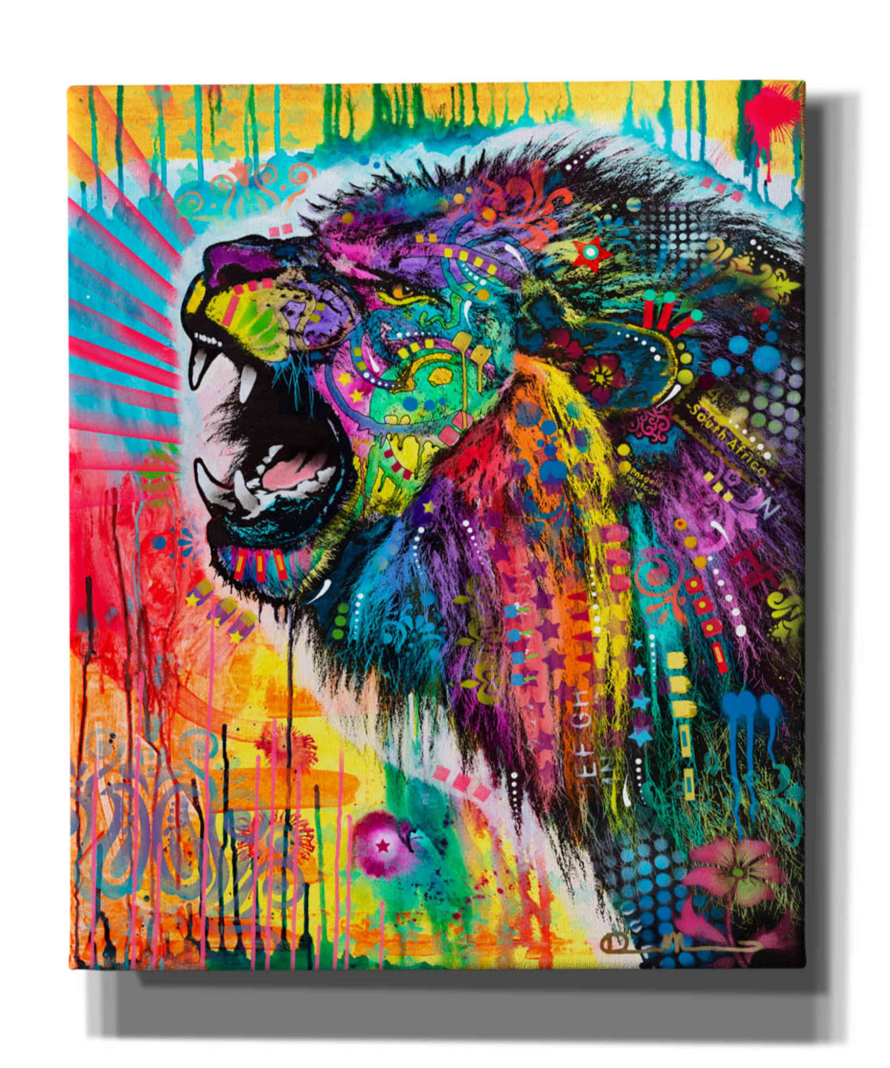 Epic Graffiti 'South African Lion' by Dean Russo, Canvas Wall Art, 20 ...