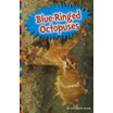 Let's Read Together: Tickly Octopus (Paperback) - Walmart.com