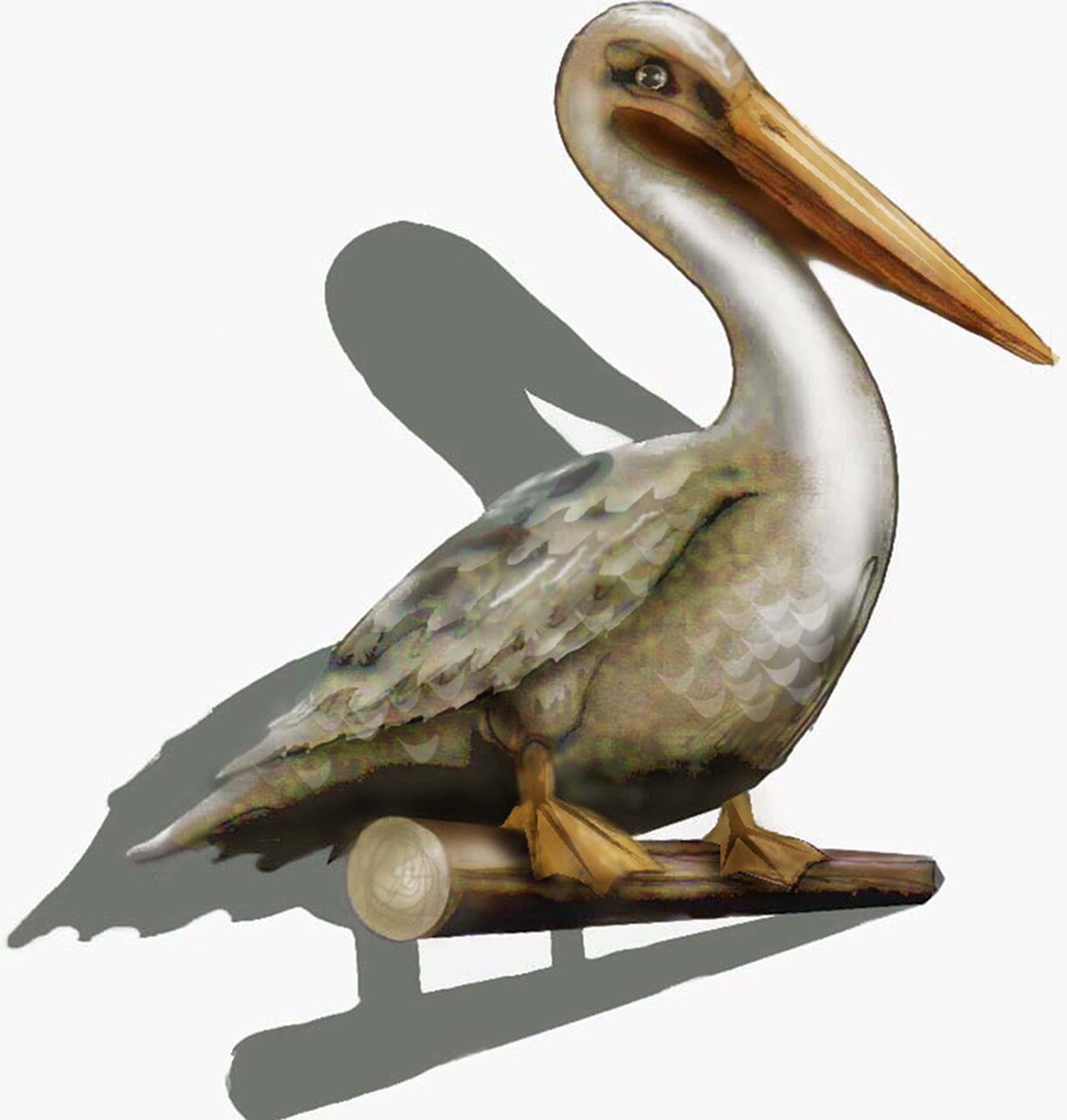 Wall-Ahhh!™ 3-D Floating Wall Decor Decal, Pelican Coastal Bird Wall ...