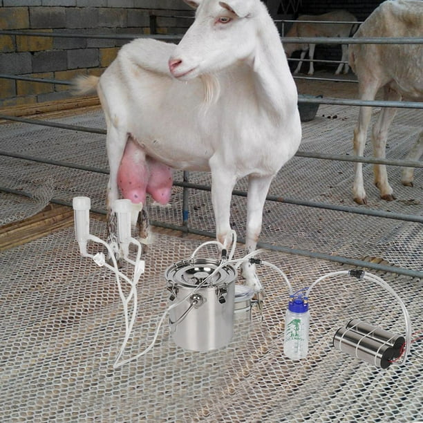 Cow Milking Kit Milking Kit, Mpulse Milking Machine Goat Milking Kit ...