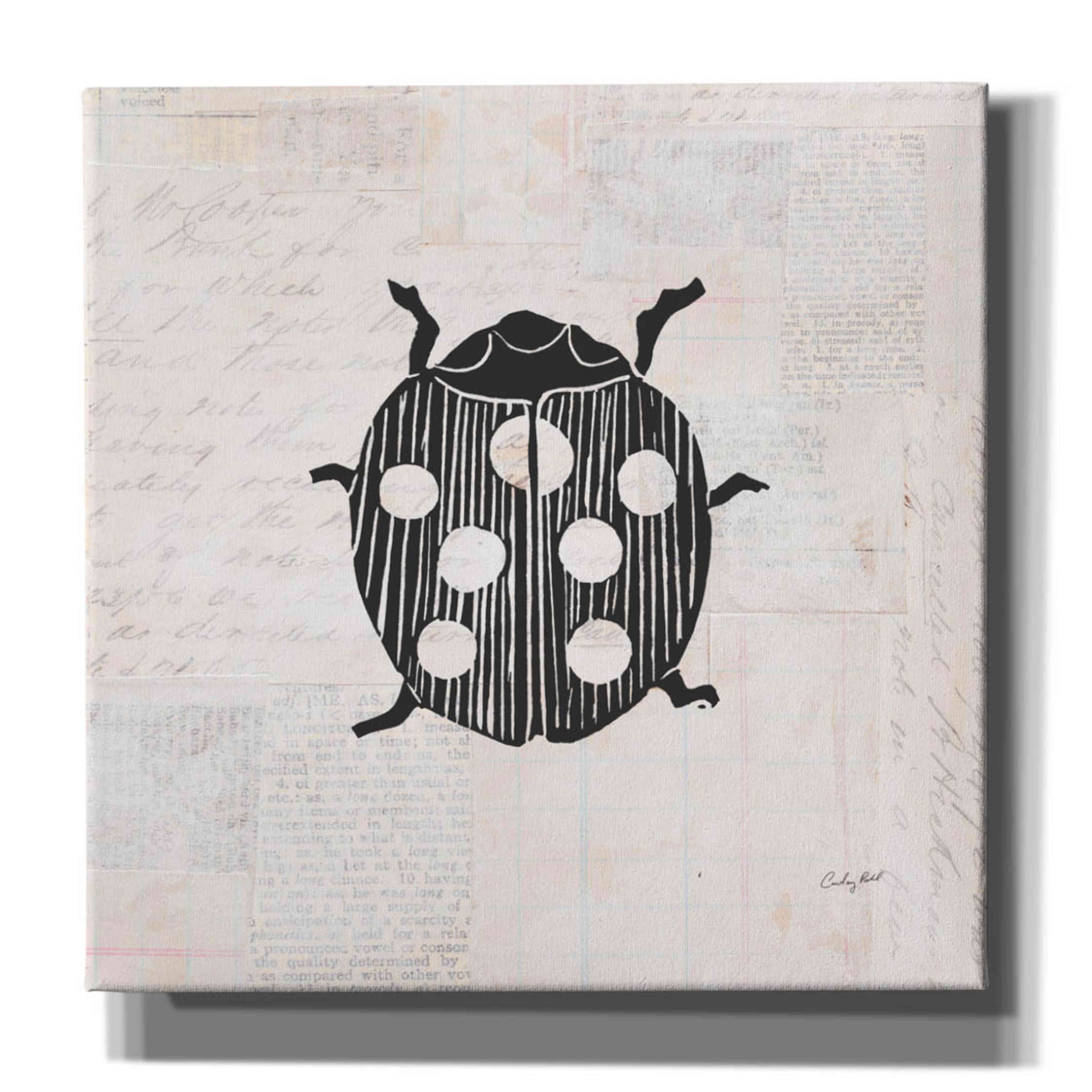 Epic Graffiti 'Ladybug Stamp BW by Courtney Prahl, Canvas Wall Art, 26 ...