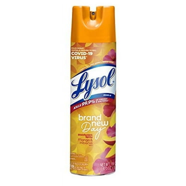 Lysol Professional Disinfectant Spray, Original Scent, 19 oz Aerosol ...