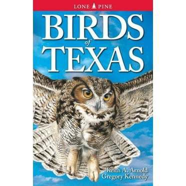 Bird Identification Guides: Birds of Texas Field Guide (Paperback ...